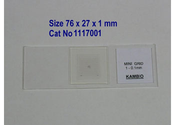 Minigrid Slide – Central Printed Area – 1cmx1cm - MTA Catalogue