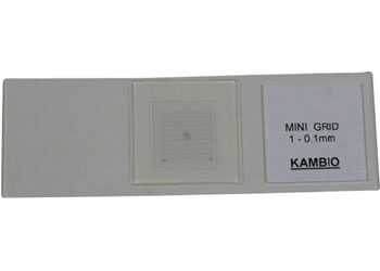 Minigrid Slide – Central Printed Area – 1cmx1cm - MTA Catalogue