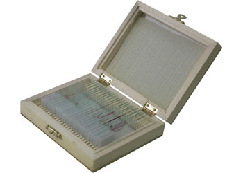 Slide Set – Histology Human – Set of 25 - MTA Catalogue