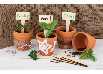 Garden Grow Craft Kit of 20 - MTA Catalogue