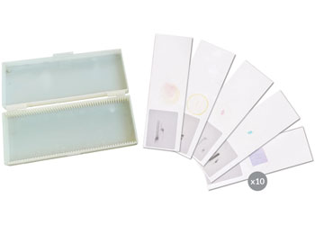 Bumper Mixed Slide Kit-1 - MTA Catalogue