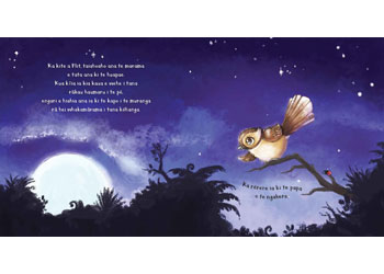 Ko Flit Te Tirairaka Me Te Mahere Matariki - MTA Catalogue