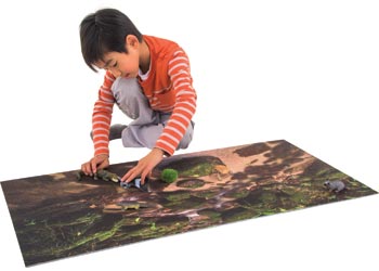 Australian Geographic Rainforest Table Top Playmat – 100cm x 50cm - MTA ...