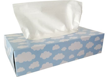 Facial Tissues 2Ply 100 Sheets – Pack of 48 - MTA Catalogue