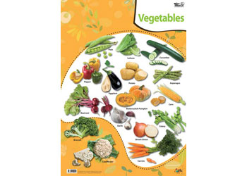 Vegetables Poster – 49.5×69.5cm - MTA Catalogue