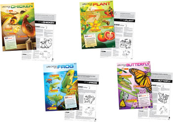 Life Cycle Poster Kit - MTA Catalogue