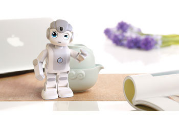 UBTECH – Alpha Mini Robot – Set of 8 - MTA Catalogue