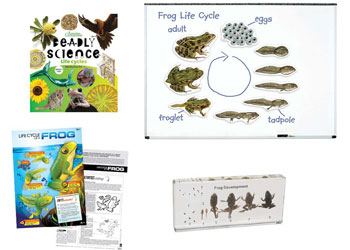 Deadly Science – Life Cycles Kit - MTA Catalogue