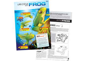 Deadly Science – Life Cycles Kit - MTA Catalogue