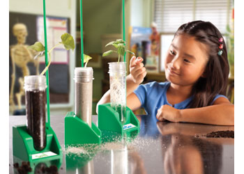 Deadly Science – How Plants Thrive Kit - MTA Catalogue