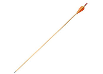 Wooden Target Arrow x12 - MTA Catalogue
