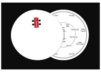 Gray Nicolls Fielding Disc - MTA Catalogue