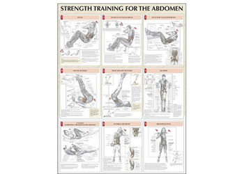Strength Training Poster - Abdomen - MTA Catalogue