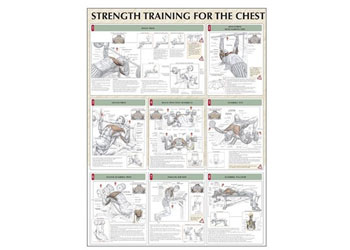 Strength Training Poster – Chest - MTA Catalogue