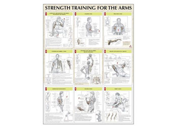 Strength Training Poster – Arms - MTA Catalogue