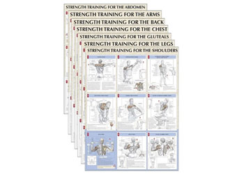 Strength Training Poster Series Set 7 - MTA Catalogue