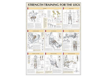 Strength Training Poster – Legs - MTA Catalogue
