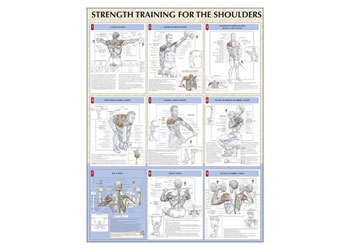 Strength Training Poster - Shoulders - MTA Catalogue