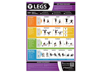Gym & Fitness Chart – Legs - MTA Catalogue