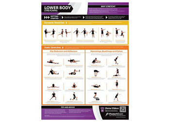 Gym & Fitness Chart – Lower Body - MTA Catalogue