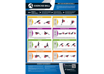 Gym & Fitness Chart – Exercise Ball - MTA Catalogue