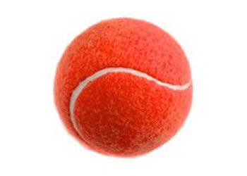 Apollo Play Tennis Ball – Red - MTA Catalogue