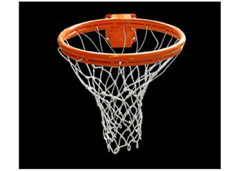 Basketball Ring Professional Hinge Mount - MTA Catalogue