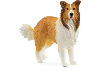 MB Catalogue: Schleich - Collie 2025 Release