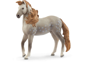 MB Catalogue: Schleich - Andalusian Stallion 2025 Release