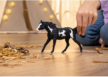 MB Catalogue: Schleich - Paint Horse Gelding 2025 Release